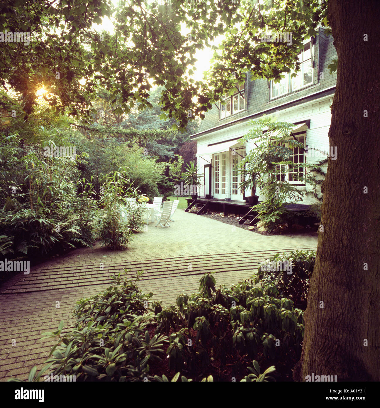 Large tree in border of garden with large paved terrace in front of ...