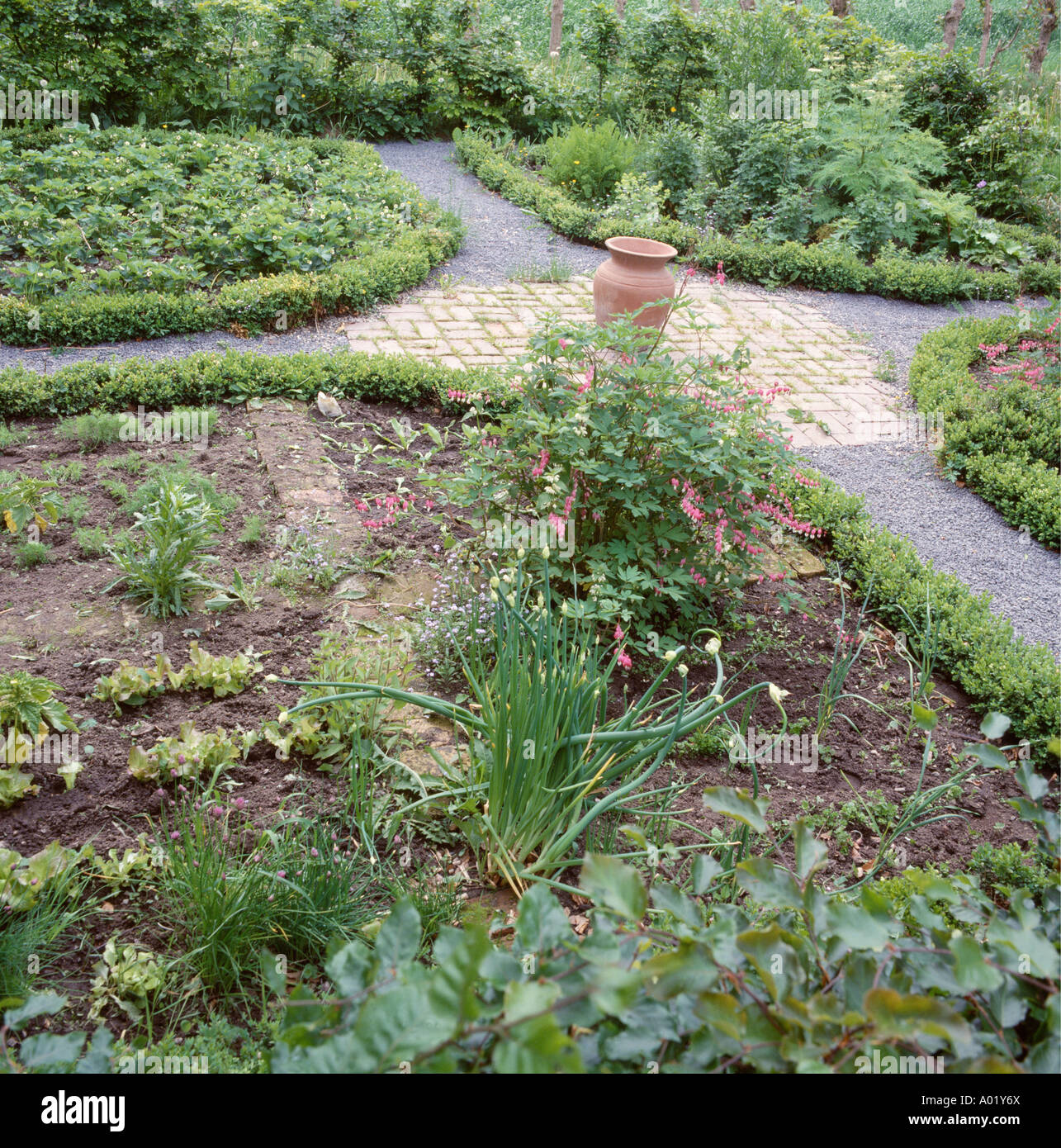 Vegetable Garden Path