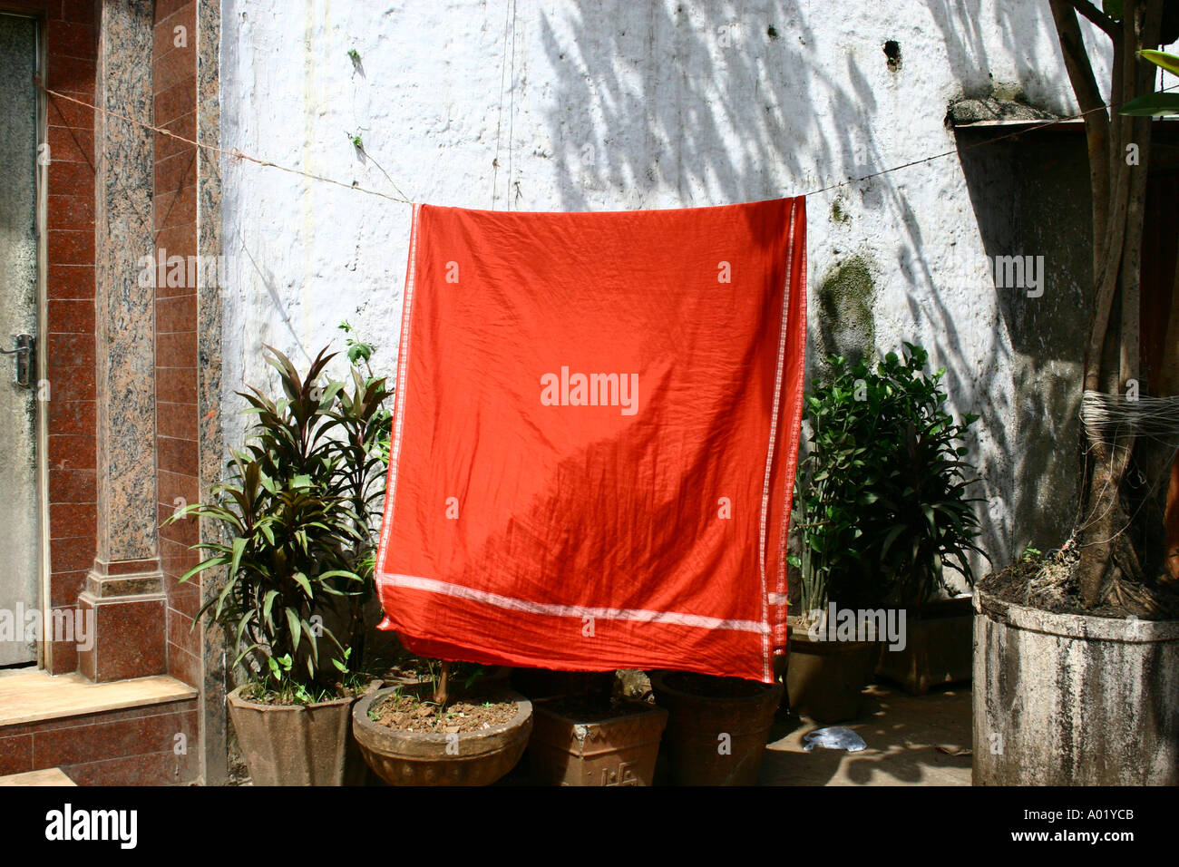 Soft string hi-res stock photography and images - Alamy