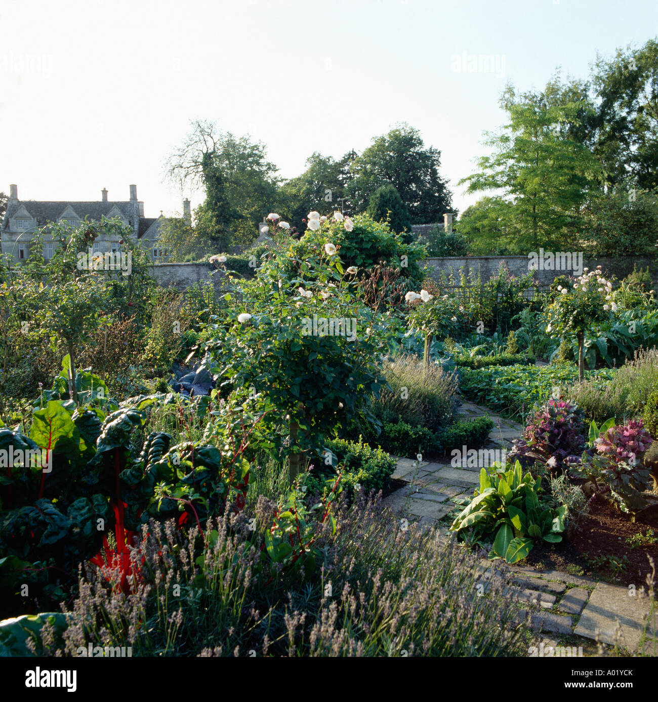 Large garden beds roses hi-res stock photography and images - Alamy
