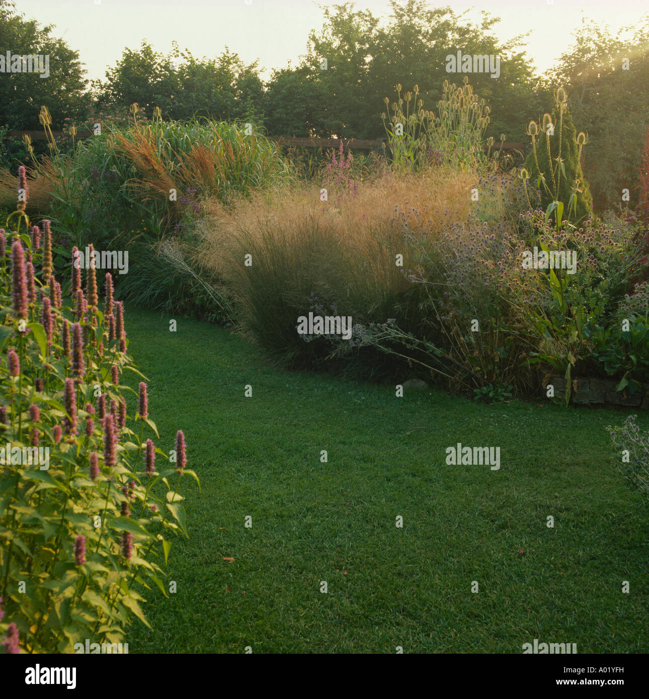 Overgrown borders hi-res stock photography and images - Alamy