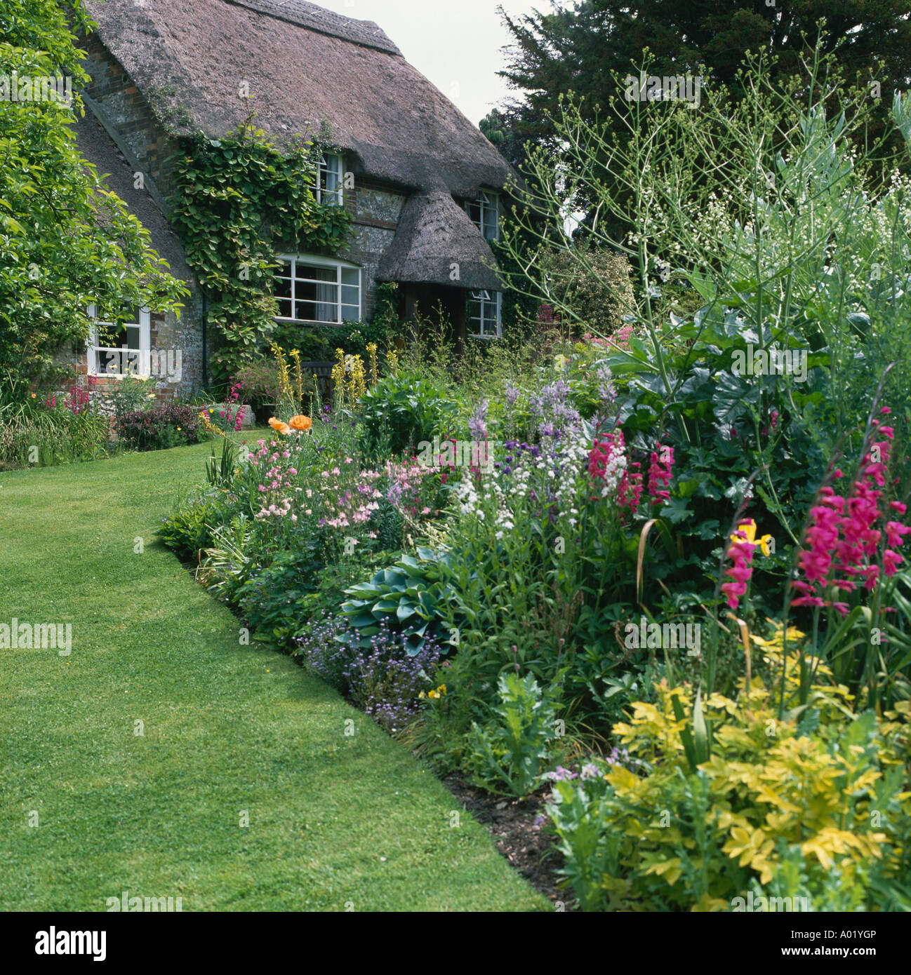 Thatched country cottage with grass path beside summer flowering border ...