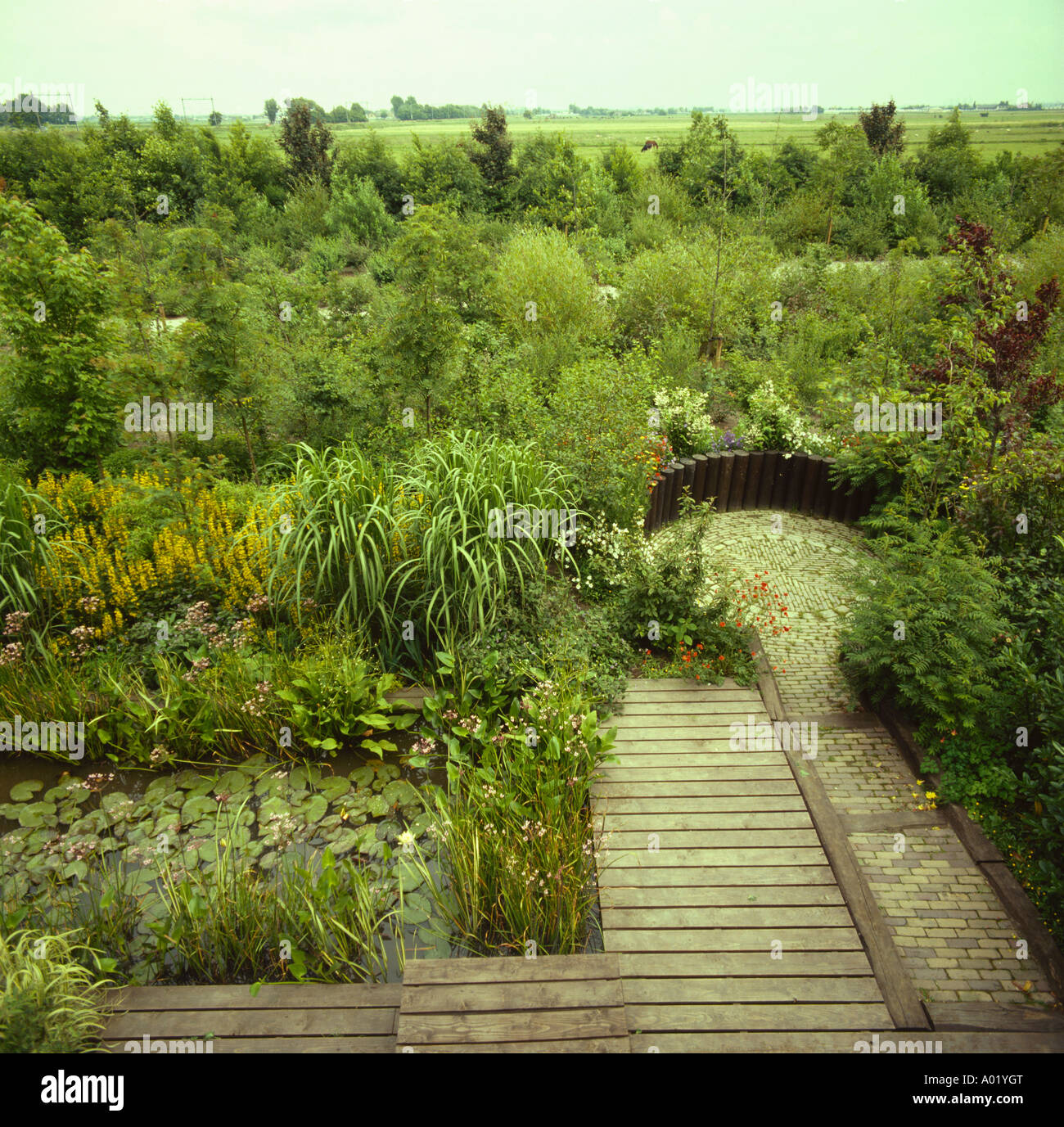 Aerial view of pond with decking and paved sunken garden in shrubbery ...