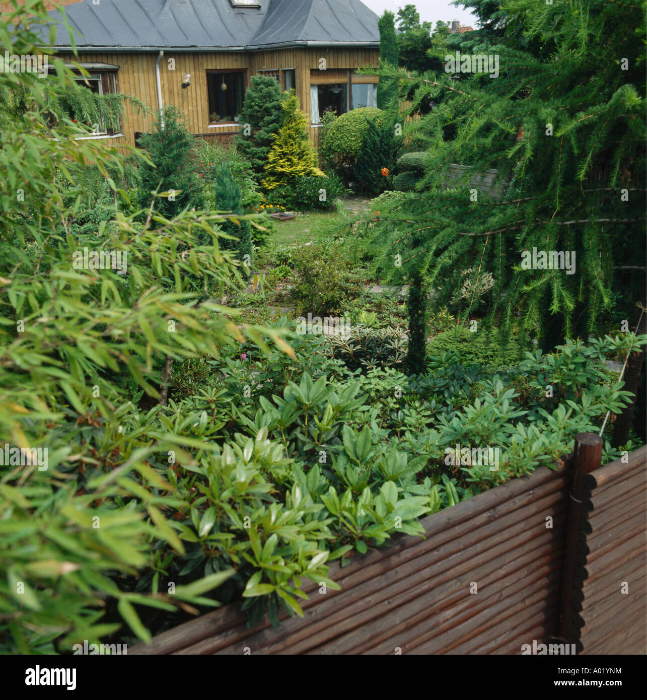 Shrubs fence hi-res stock photography and images - Alamy