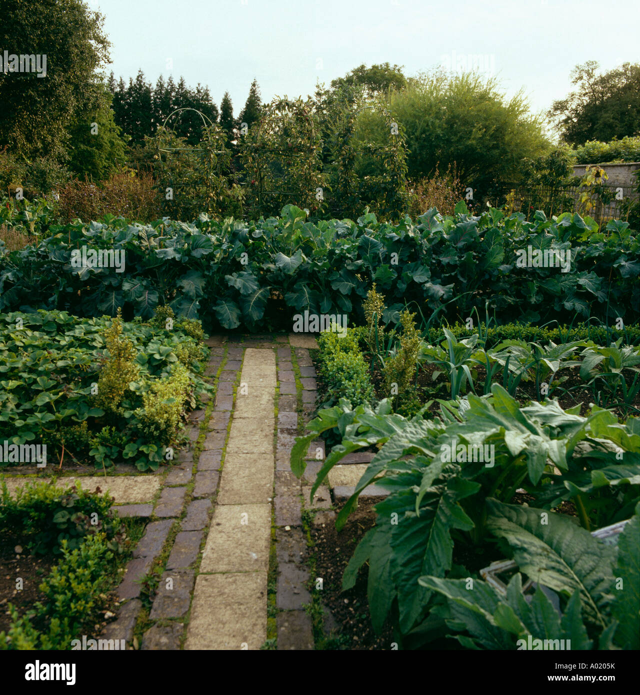 Paved path between vegetables in potager garden at Barnsley House Stock ...