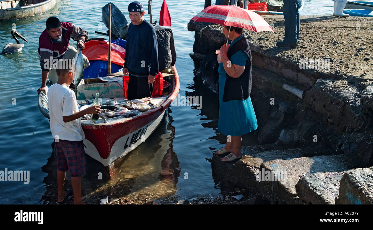 Quayside Fish market Mazatlan Sinaloa Mexico Stock Photo - Alamy