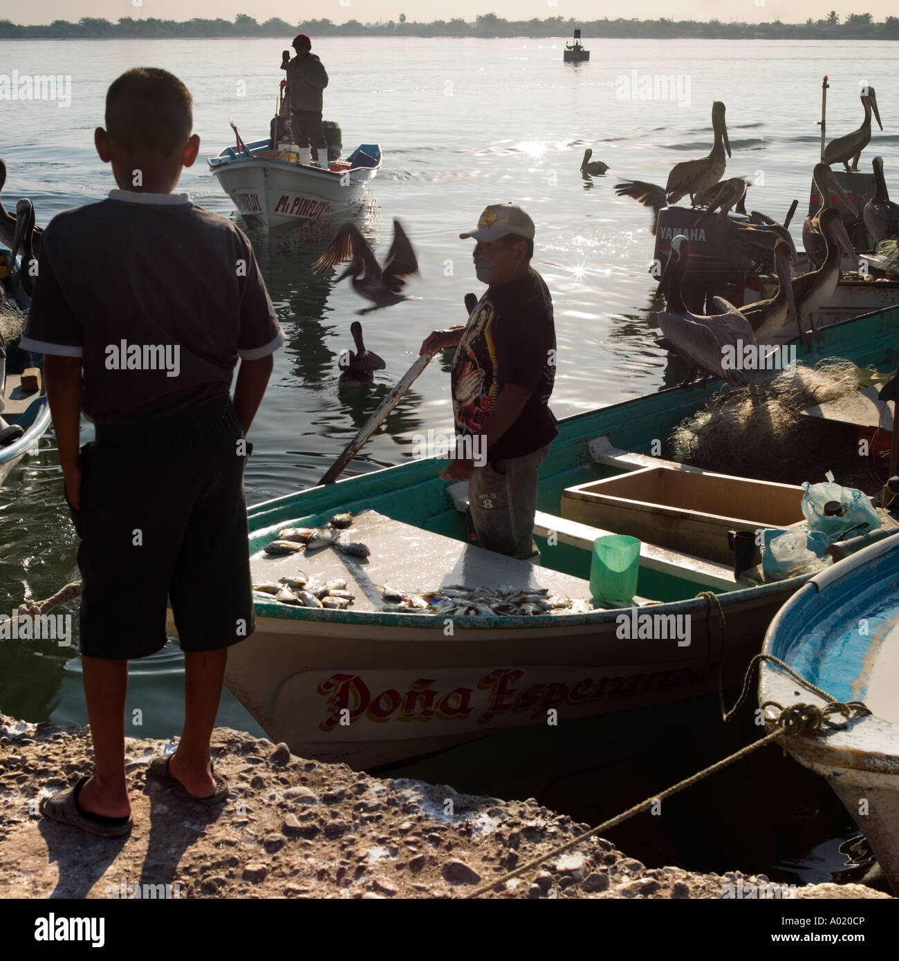 Quayside Fish market Mazatlan Sinaloa Mexico Stock Photo - Alamy