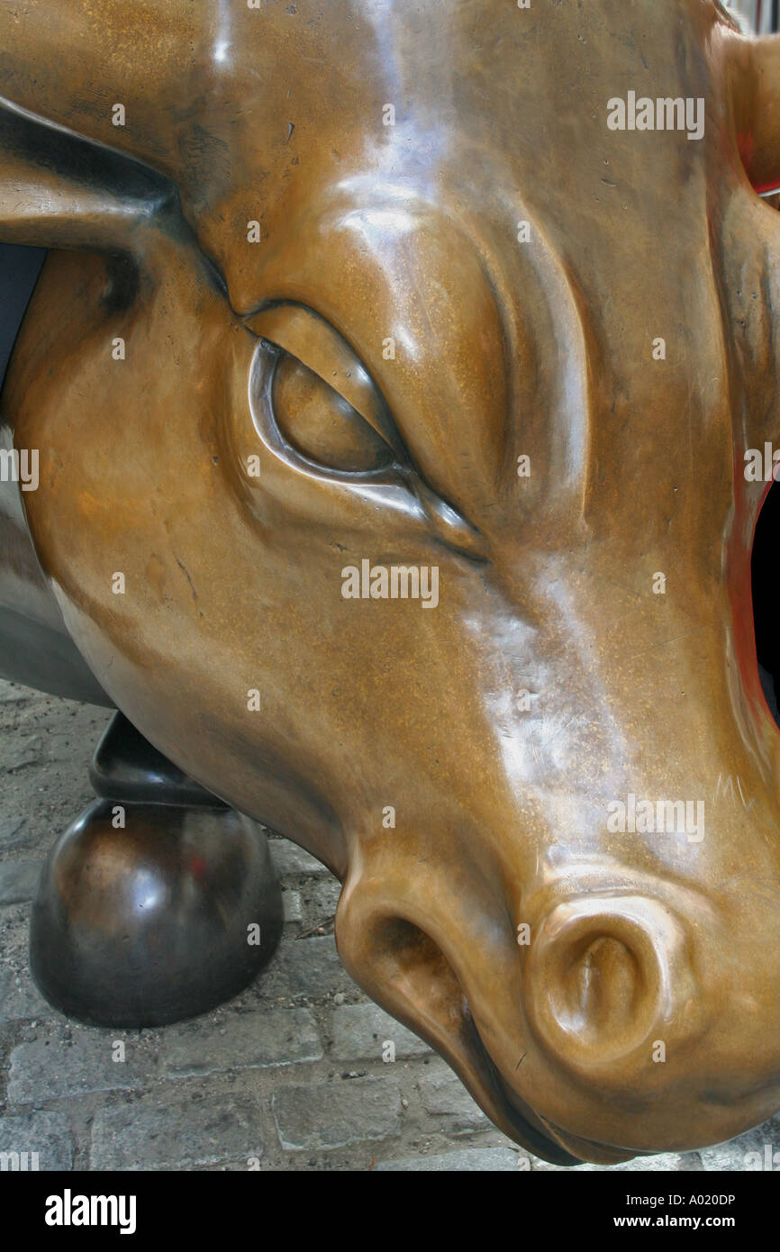 New york bull eye hi-res stock photography and images - Alamy