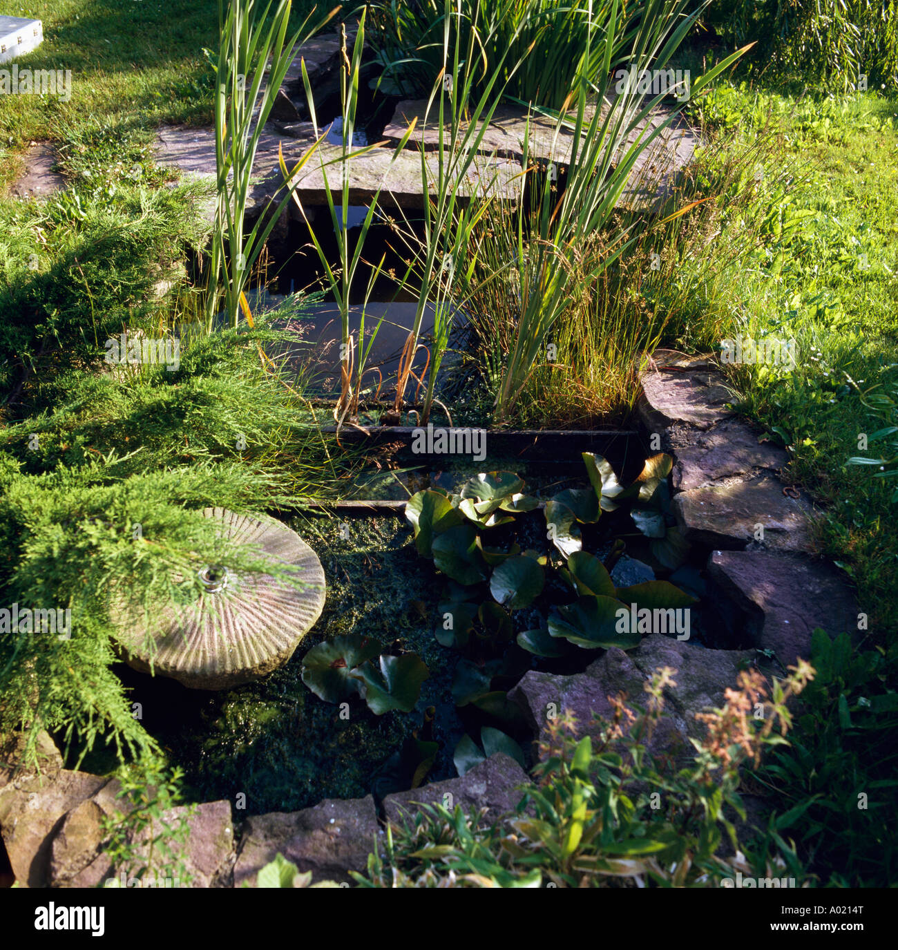 Small garden pond with grasses and millstone Stock Photo - Alamy