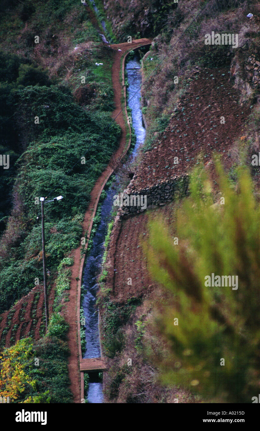 A Levada on the island of Madeira is part of a network of irrigation ...