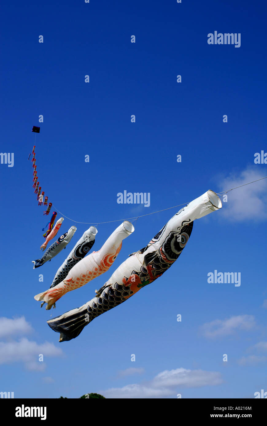 Fish shaped kites hi-res stock photography and images - Alamy