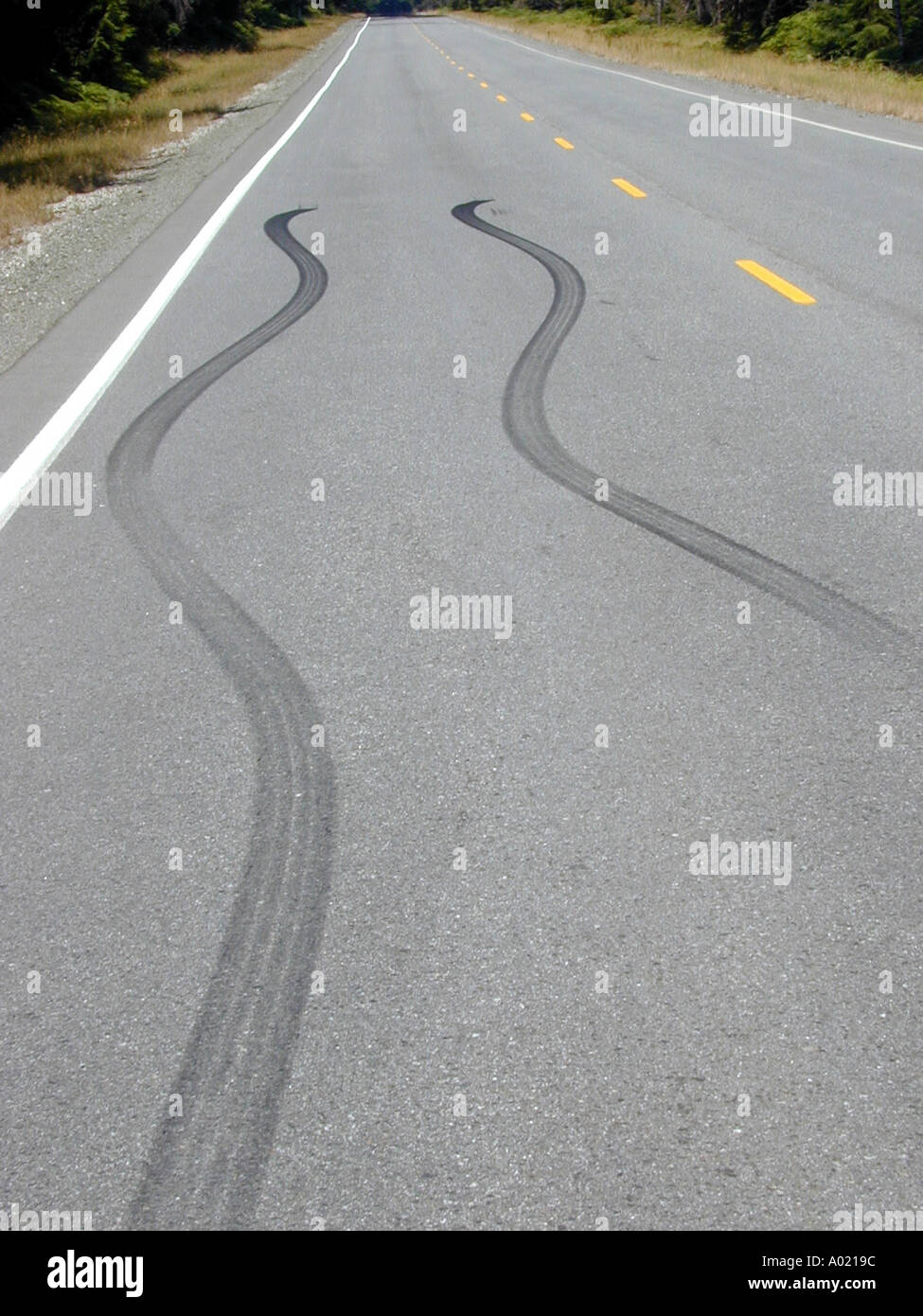 Deer marks hi-res stock photography and images - Alamy