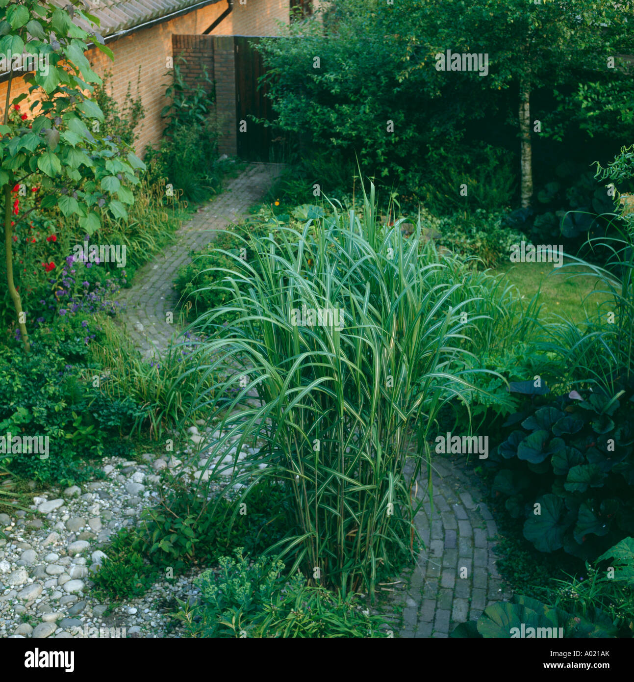 Birds-eye view of lushly planted small garden with cobble and paving ...