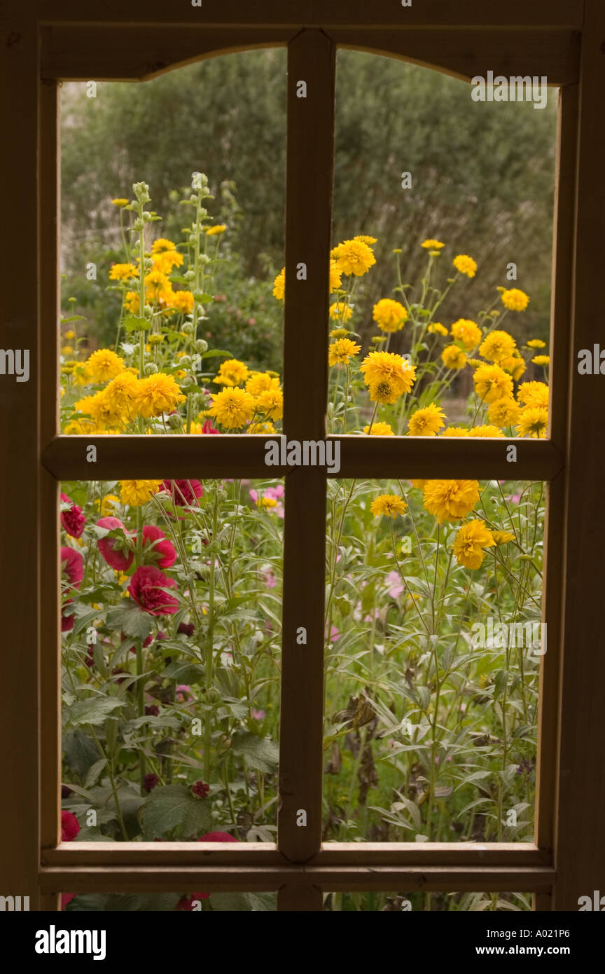 View from inside home through wooden window into green garden meadow ...