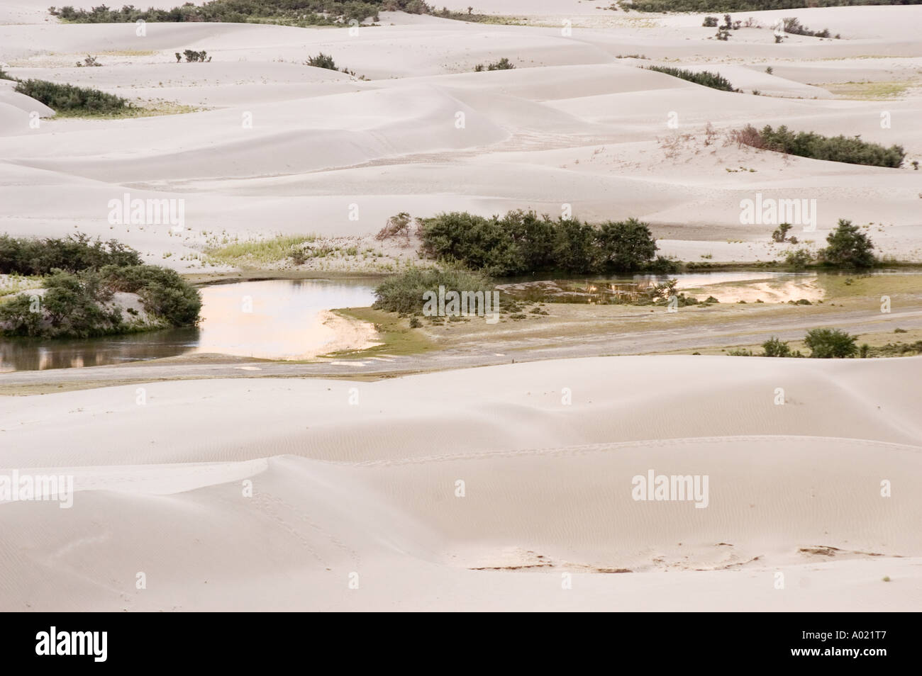 High altitude desert sand dunes in Nubra Valley between Diskit and ... High altitude desert sand dunes in Nubra Valley between Diskit and ...