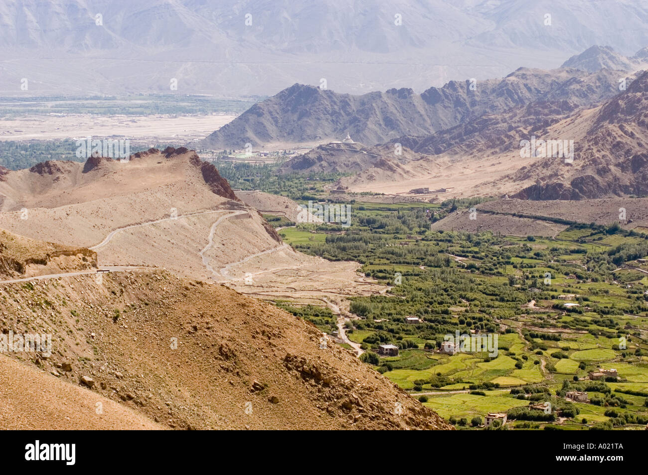 Ladakh valley with greenery next to Leh town India Stock Photo - Alamy