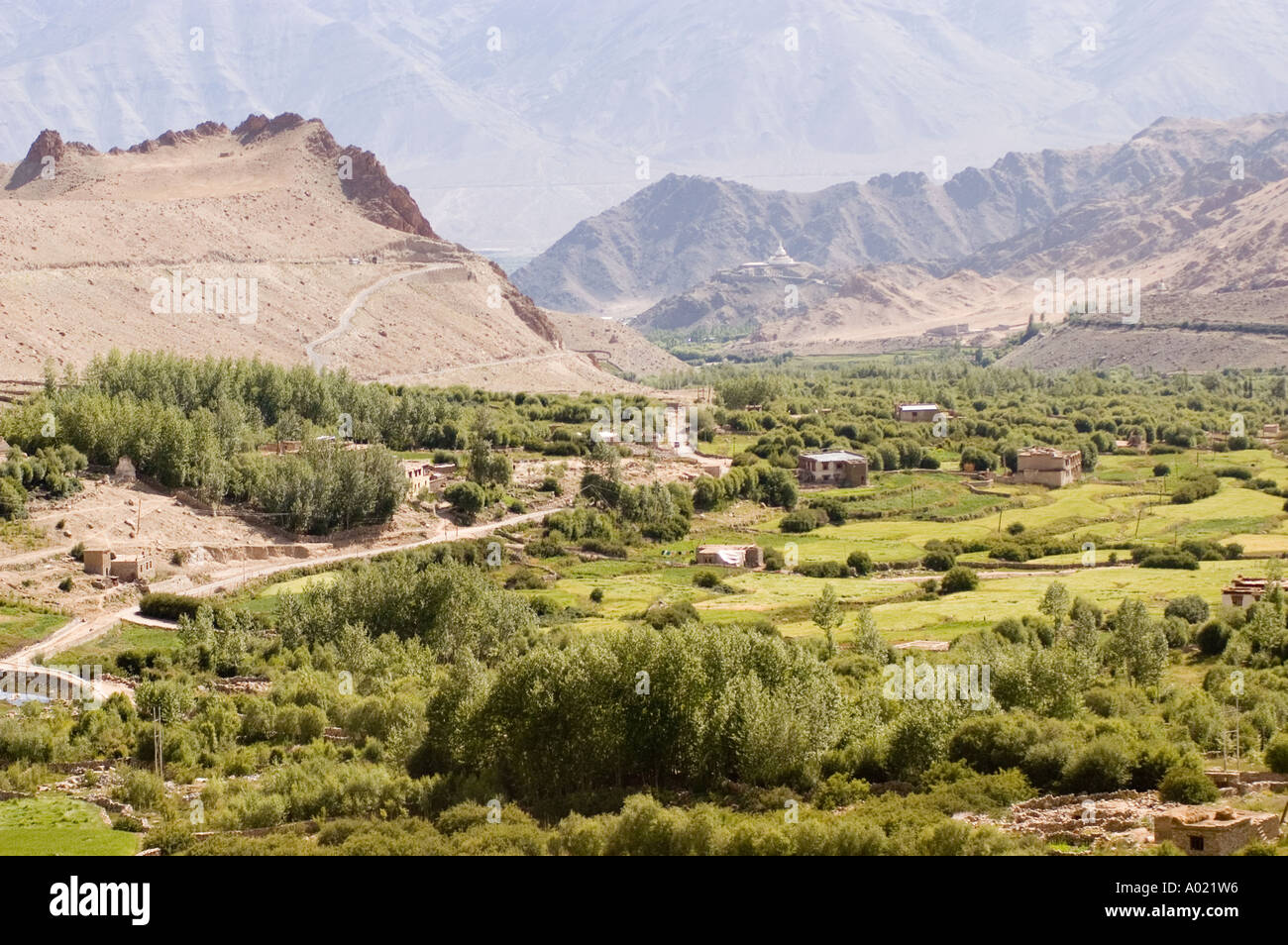 Ladakh valley with greenery next to Leh town India Stock Photo - Alamy