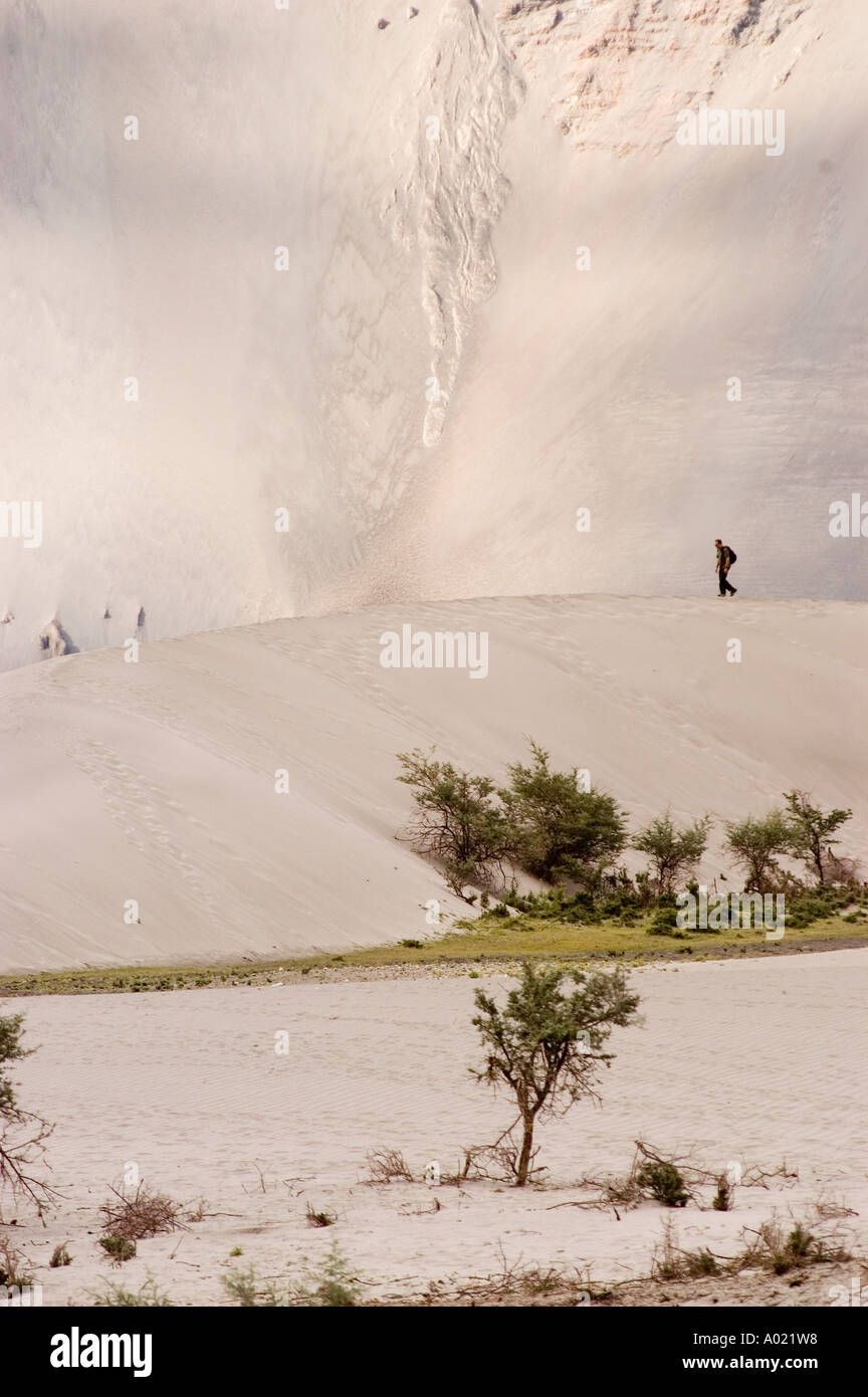 High altitude desert sand dunes in Nubra Valley between Diskit and ... High altitude desert sand dunes in Nubra Valley between Diskit and ...