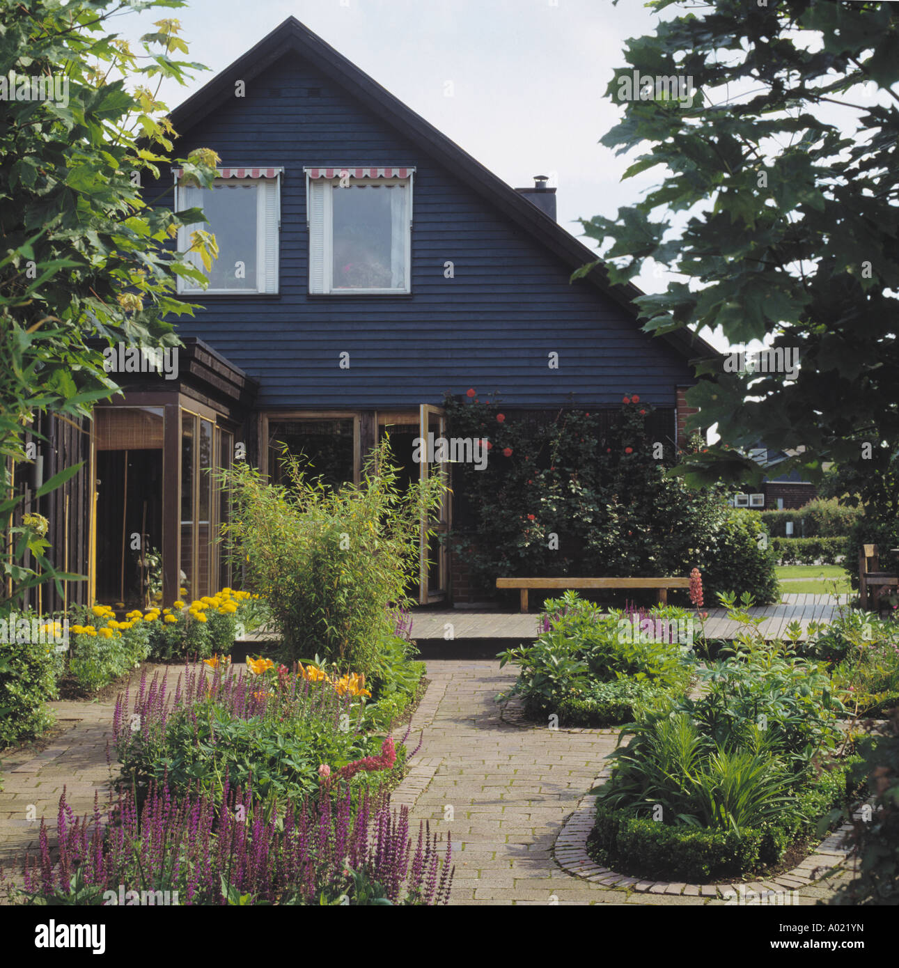 Purple loose-strife in beds in paving in front of modern blue country ...