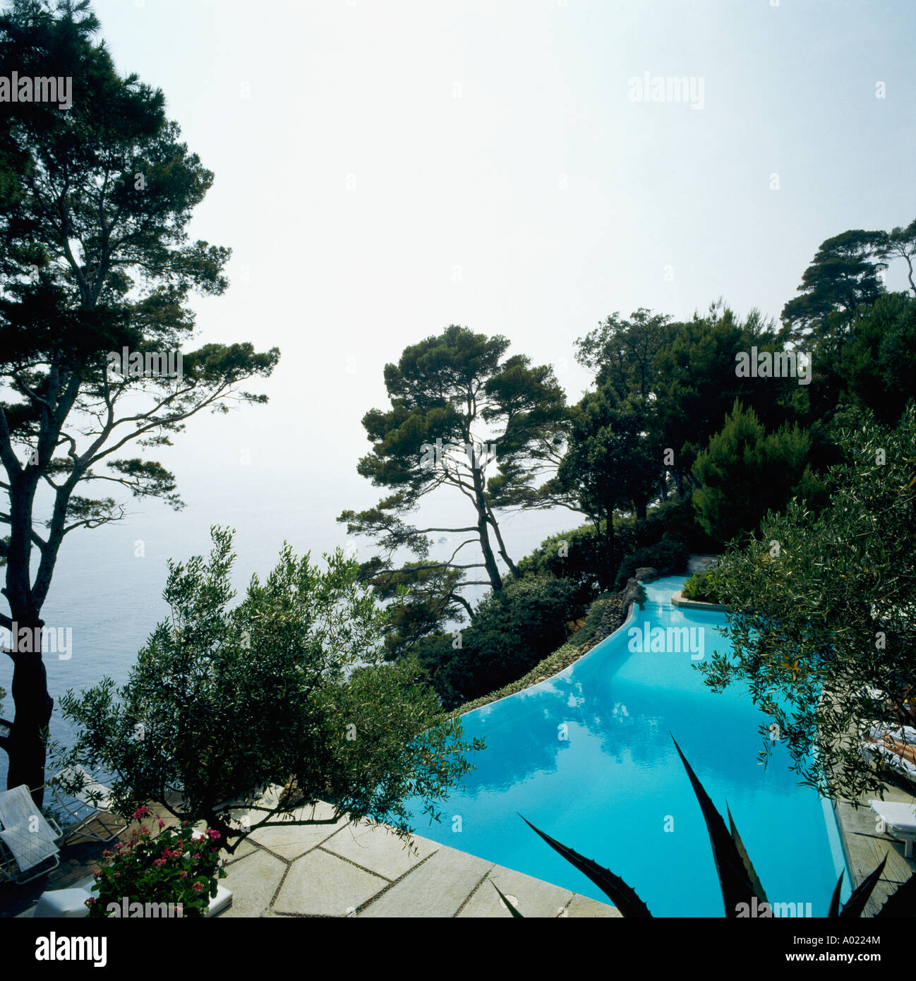 Infinity pool surrounded by pine trees on Italian coast Stock Photo - Alamy