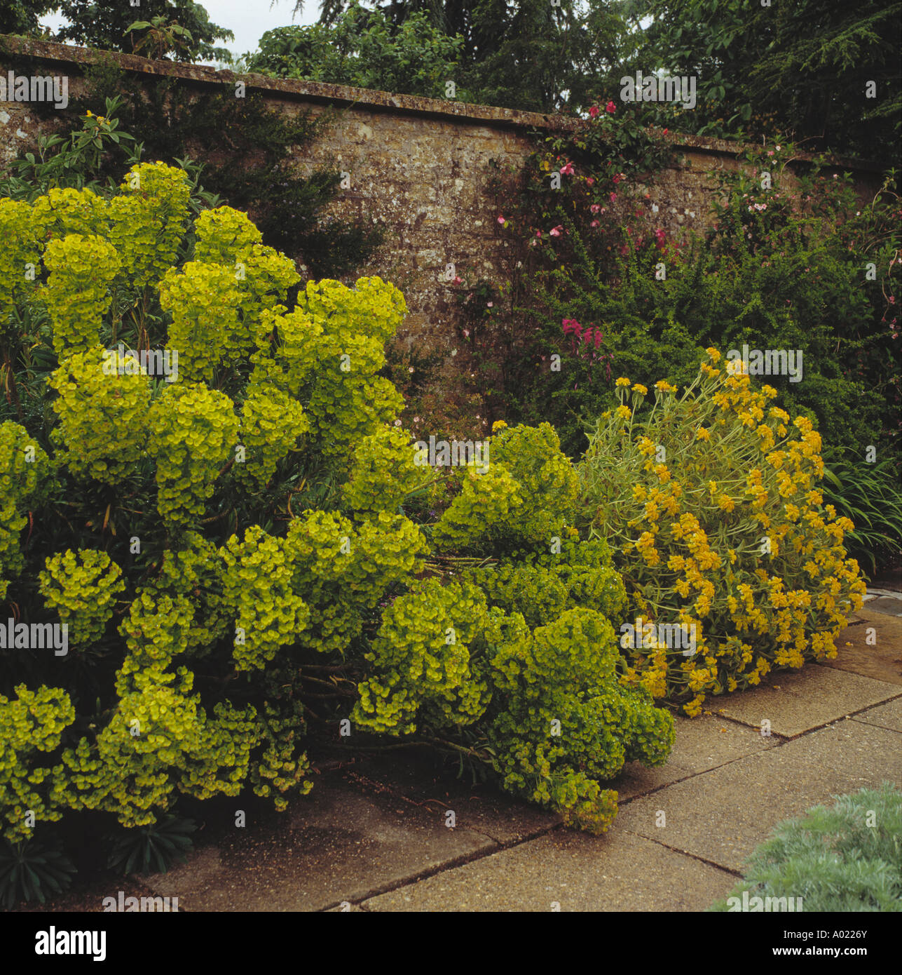 Narrow border hi-res stock photography and images - Alamy