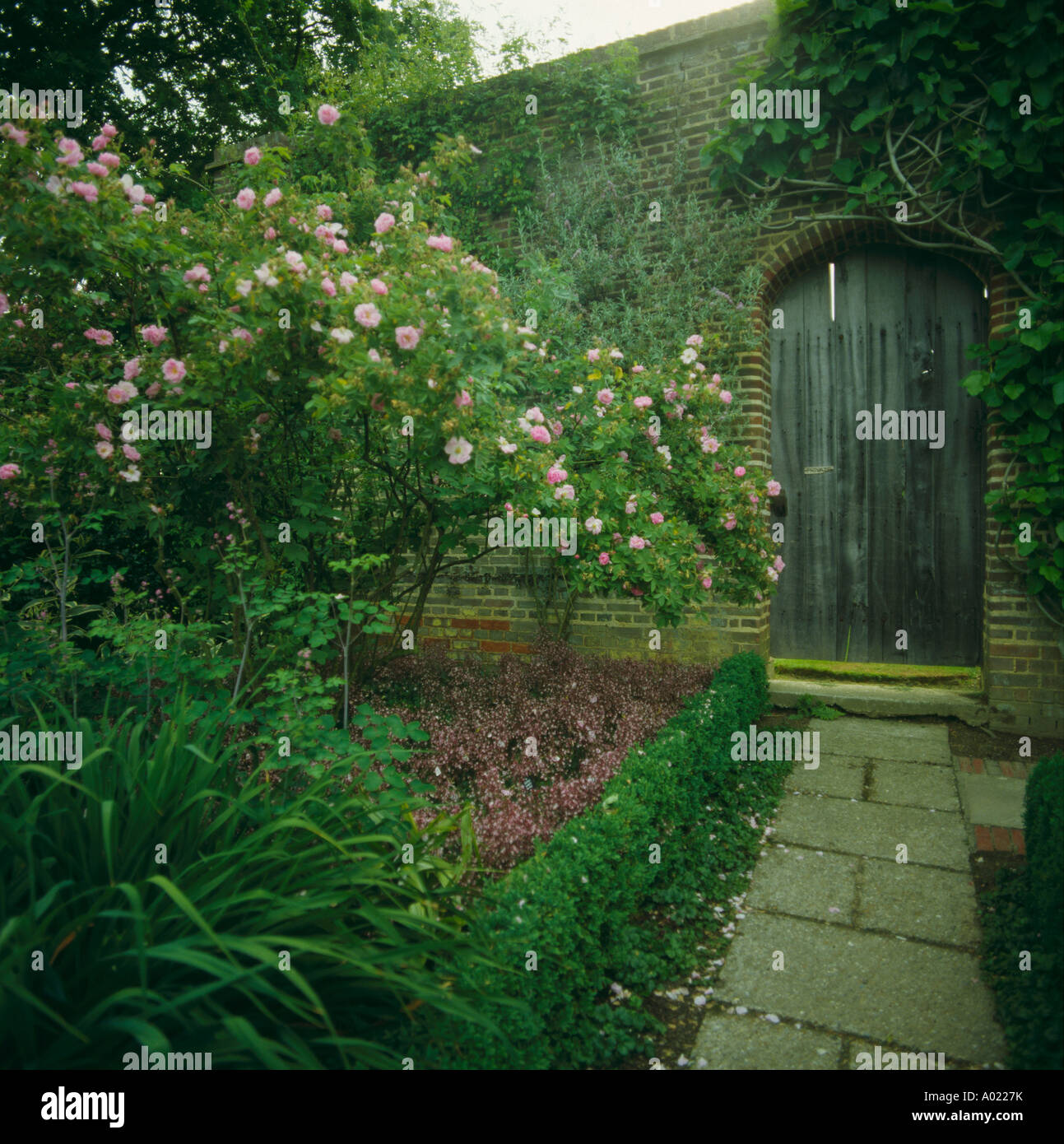 Paths And Edging Stock Photos & Paths And Edging Stock Images - Alamy