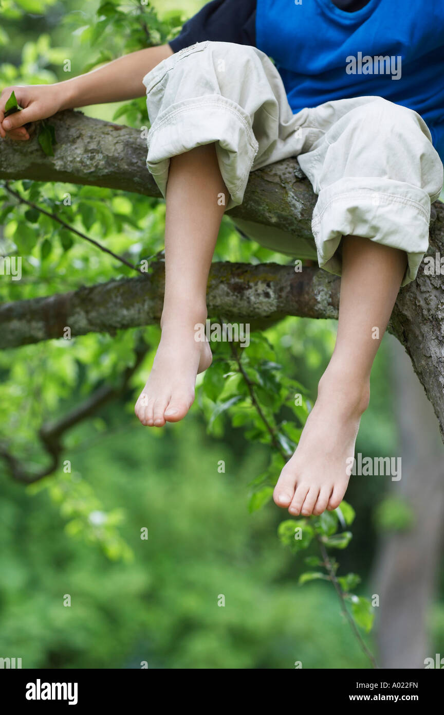 Boy climbing tree barefoot hi-res stock photography and images - Alamy