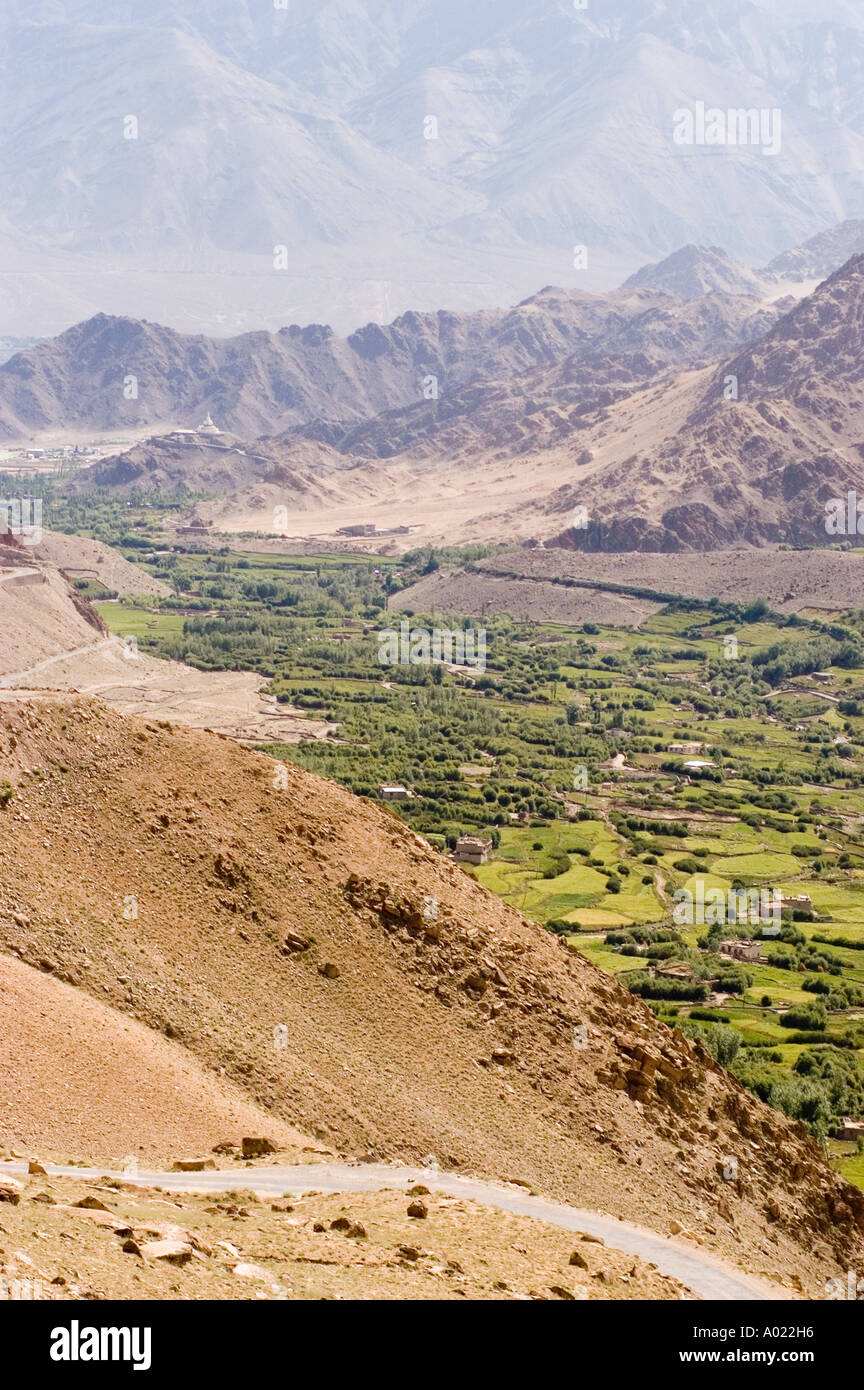 Ladakh valley with greenery next to Leh town India Stock Photo - Alamy