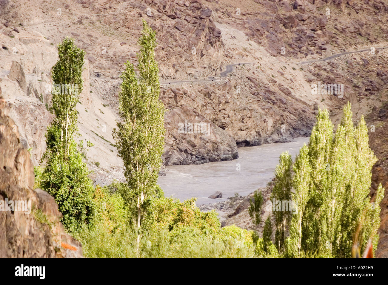Indus river and green trees of Dha Hanu village site of Dard or Brokpa ...