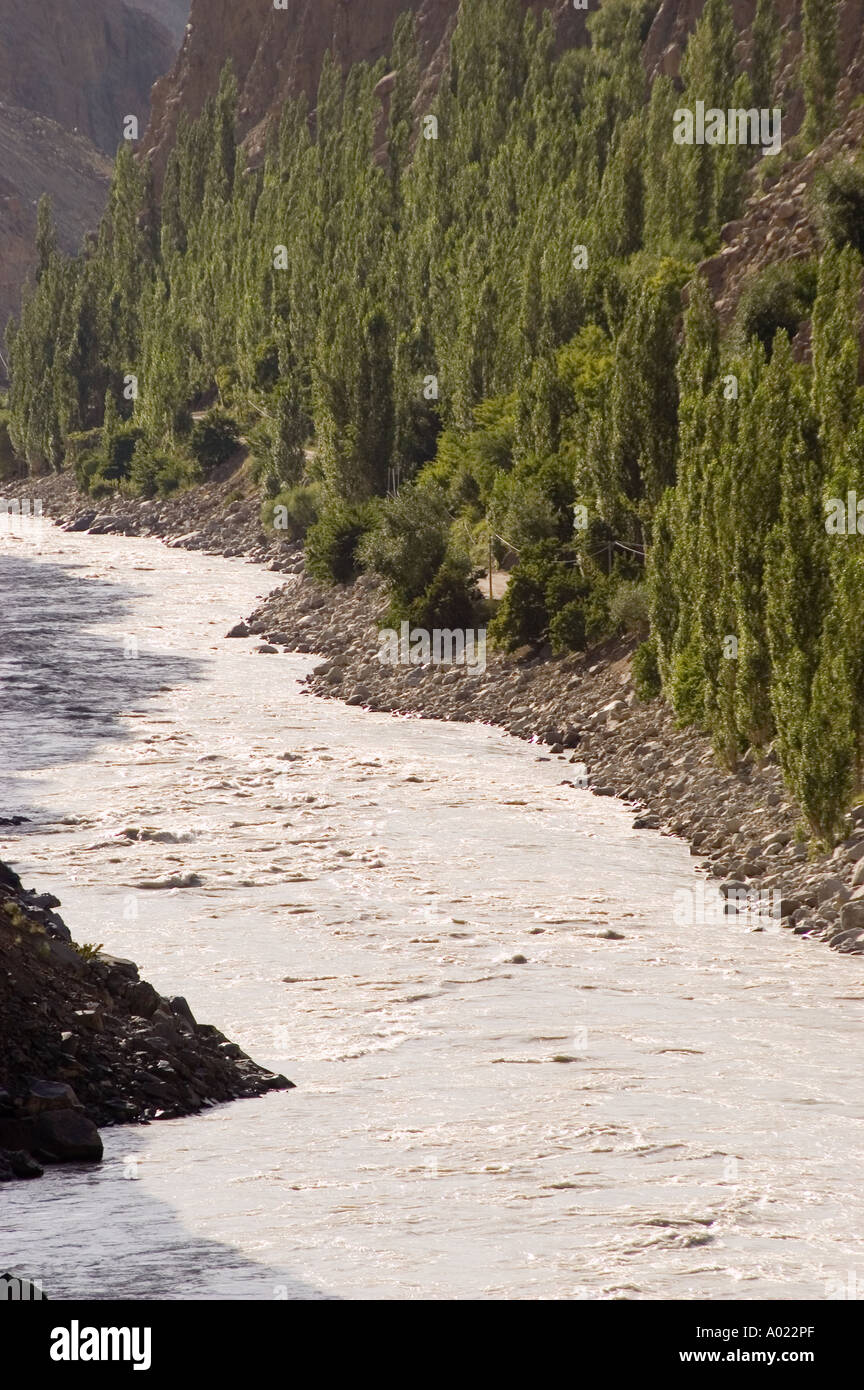 White water of Indus river with green poplar trees of Dha Hanu village ...