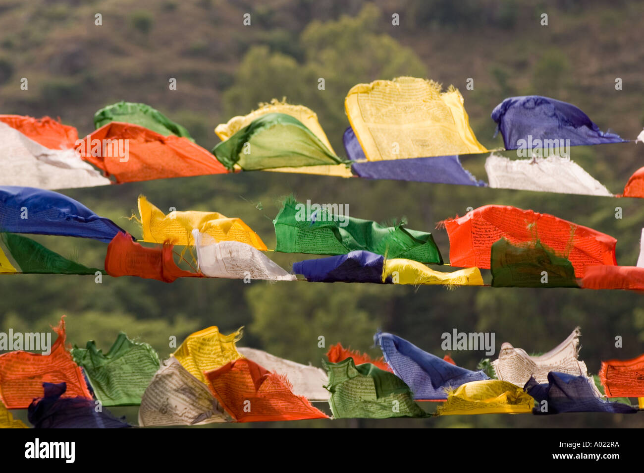 Tibetan Buddhist prayer flags in Tso Pema lake Revalsar India Stock ...
