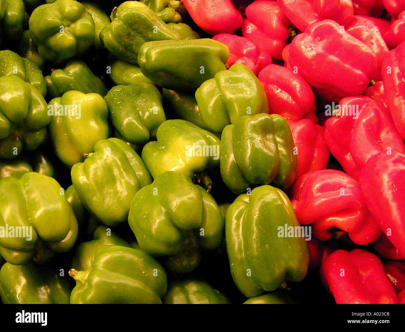 Red and green bell peppers on display in a market produce section ...