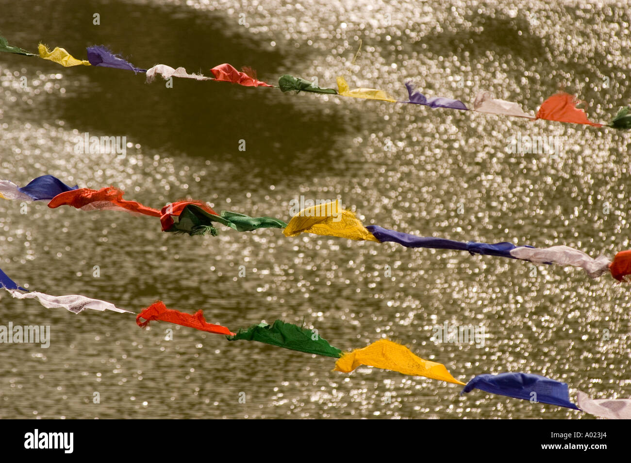 Tibetan buddhist prayer flags in Tso Pema lake Revalsar India Stock ...