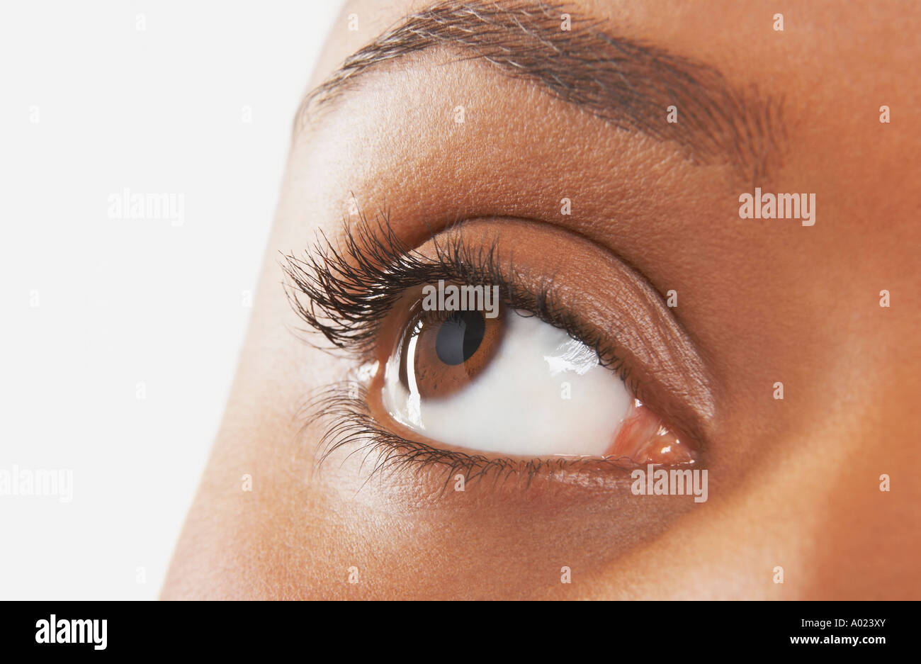 Woman's Eye looking up Stock Photo - Alamy