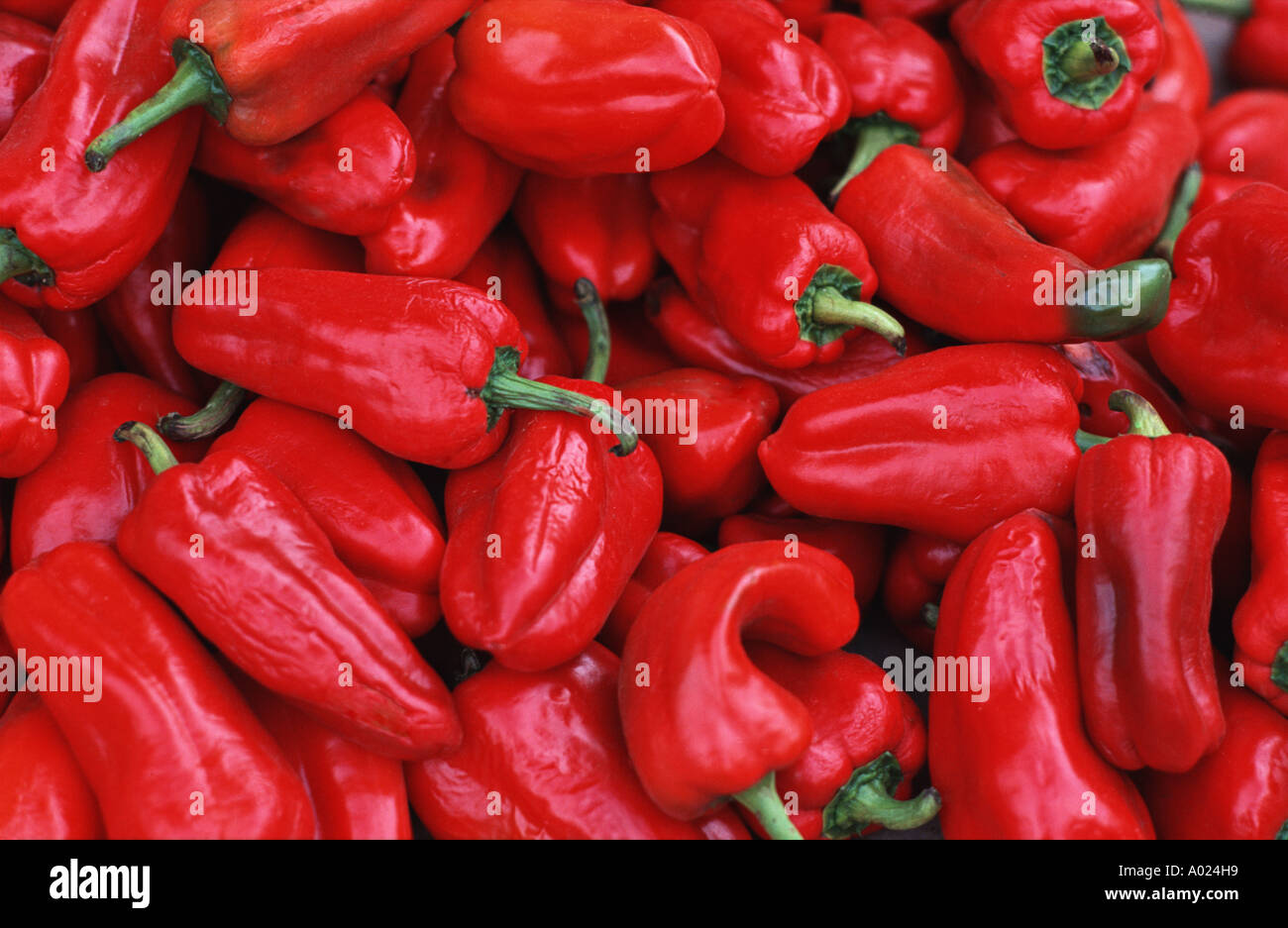 Red bell peppers for sale at the rural village market of Silvia a ...