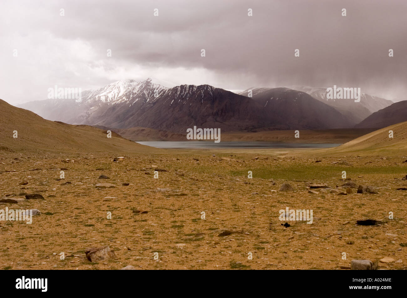 Rainy weather on the High altitude Lake near Tso Moriri Rupshu Ladakh ...