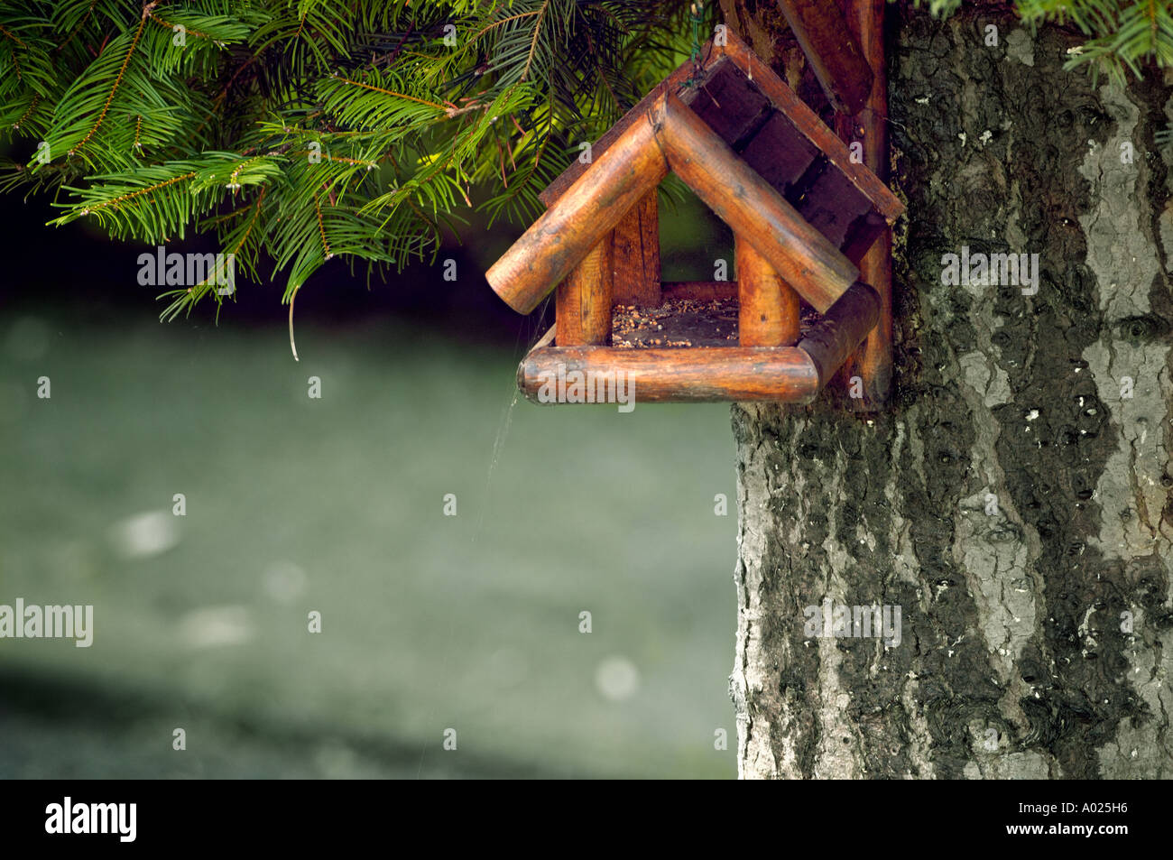 Bird feeding house Stock Photo - Alamy