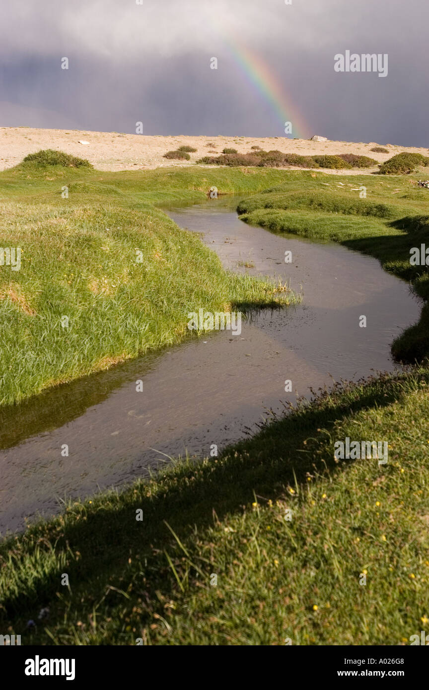 High altitude wetlands near brackish Tso Kar Lake in Rupshu area Ladakh ...