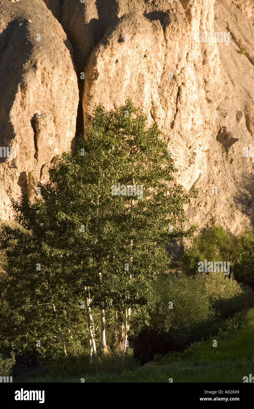 Yellow strange rock formations of empty sediment lake with and tree ...