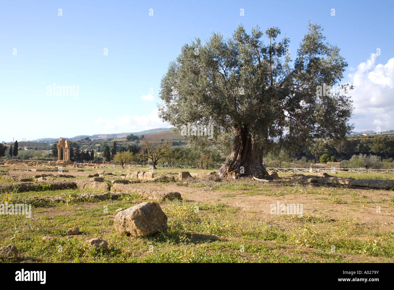 Castor greek hi-res stock photography and images - Alamy