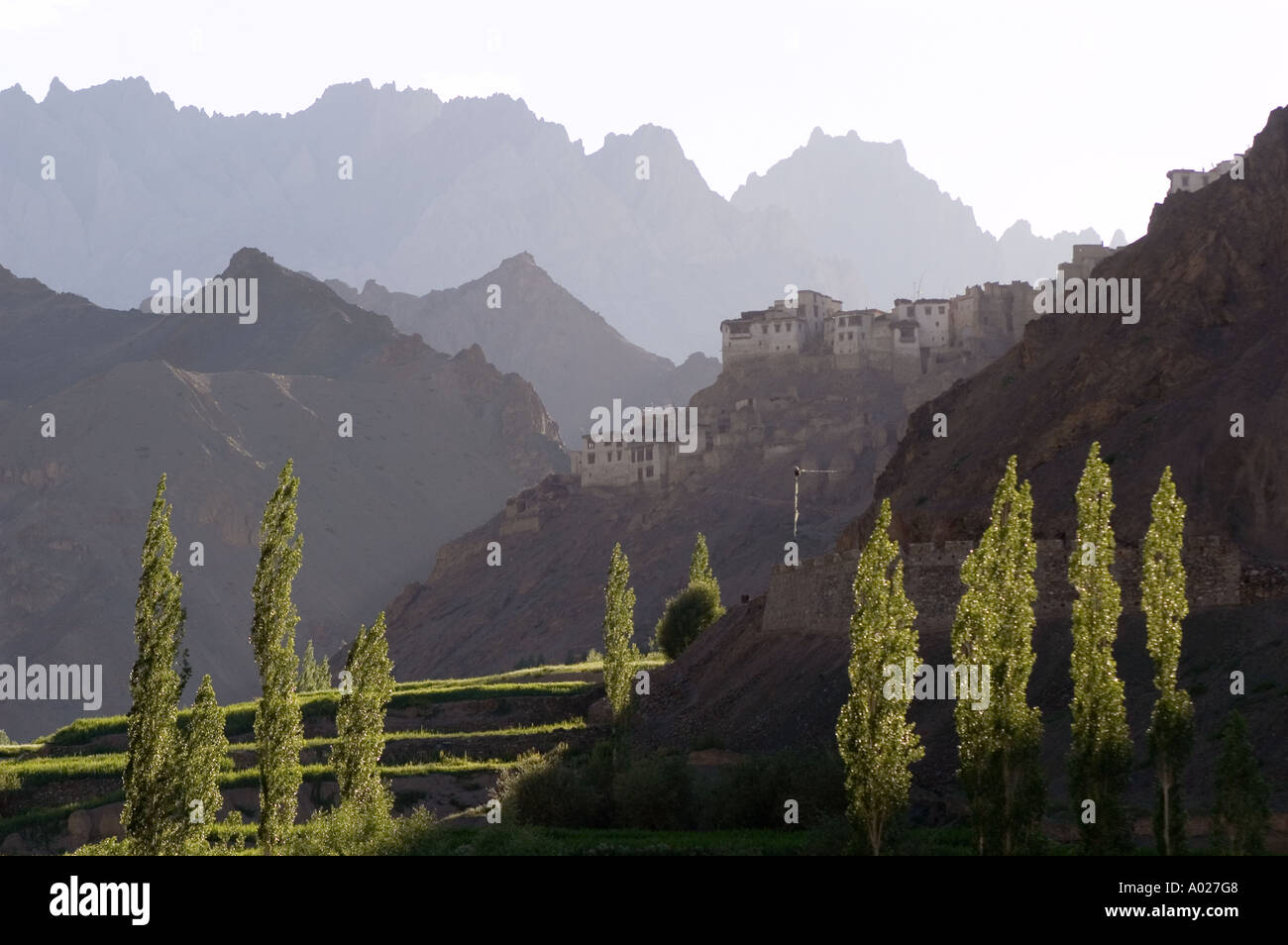 Mountains and poplar trees in Lamayuru Ladakh Jammu Kashmir India Stock ...