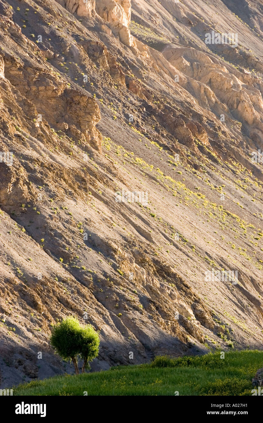 Yellow strange rock formations of empty sediment lake with green barley ...