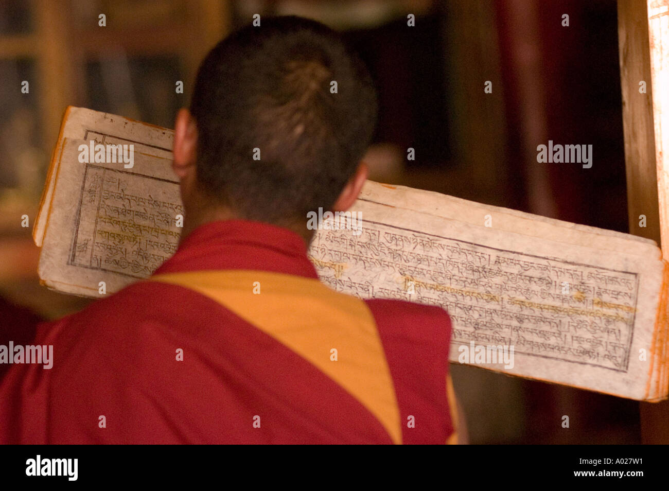 Tibetan Buddhist monk praying and reciting from ancient holy script ...