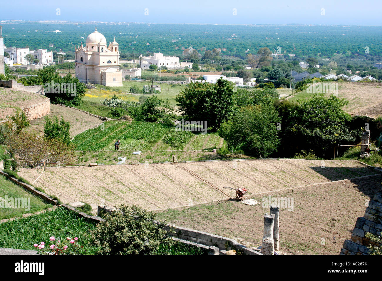 Ostuni fields hi-res stock photography and images - Alamy
