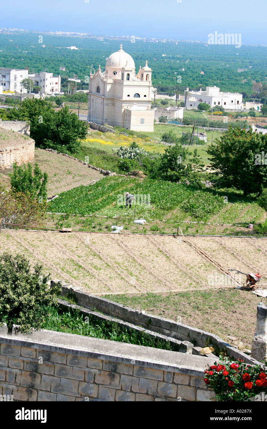 Ostuni fields hi-res stock photography and images - Alamy