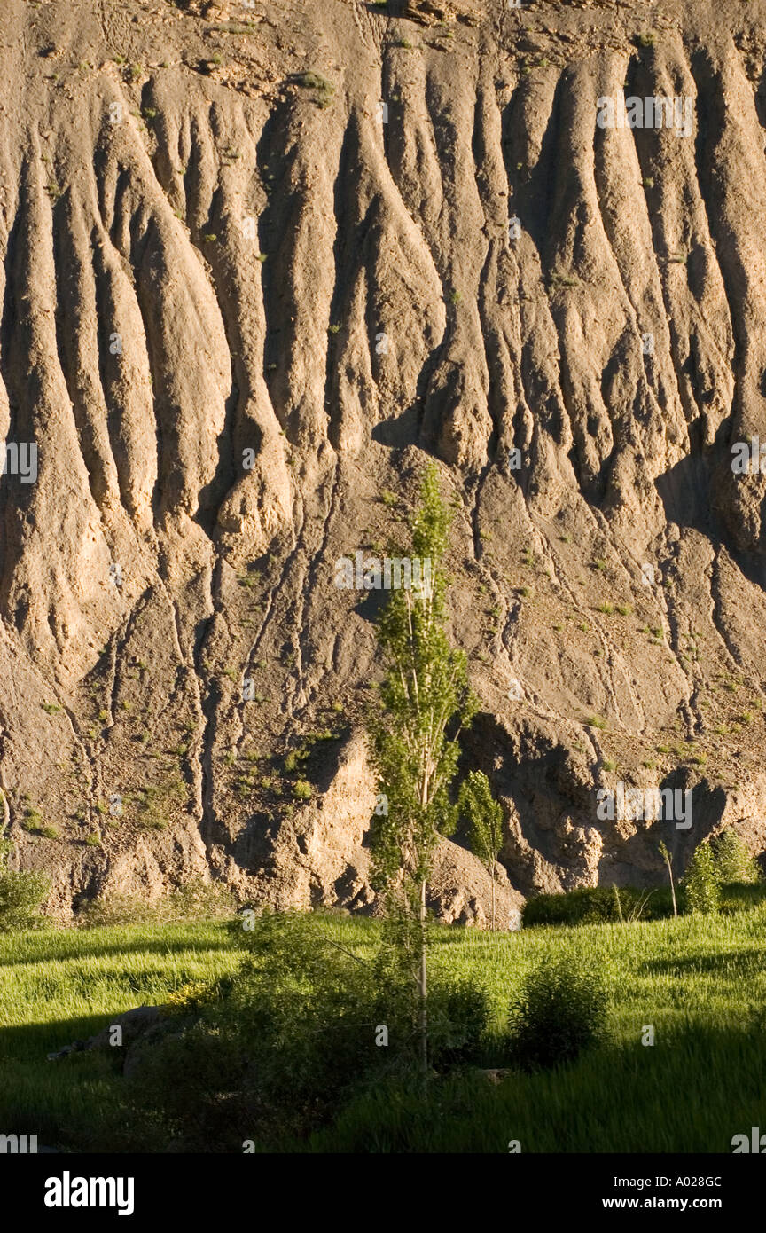 Yellow strange rock formations of empty sediment lake with green barley ...