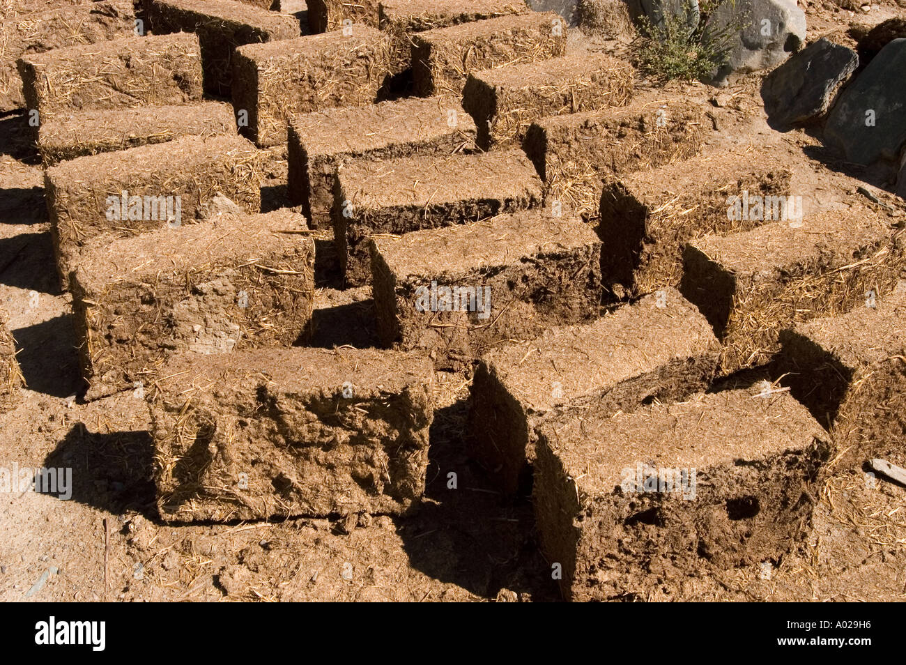 Traditional clay bricks drying in the sun for house construction in ...