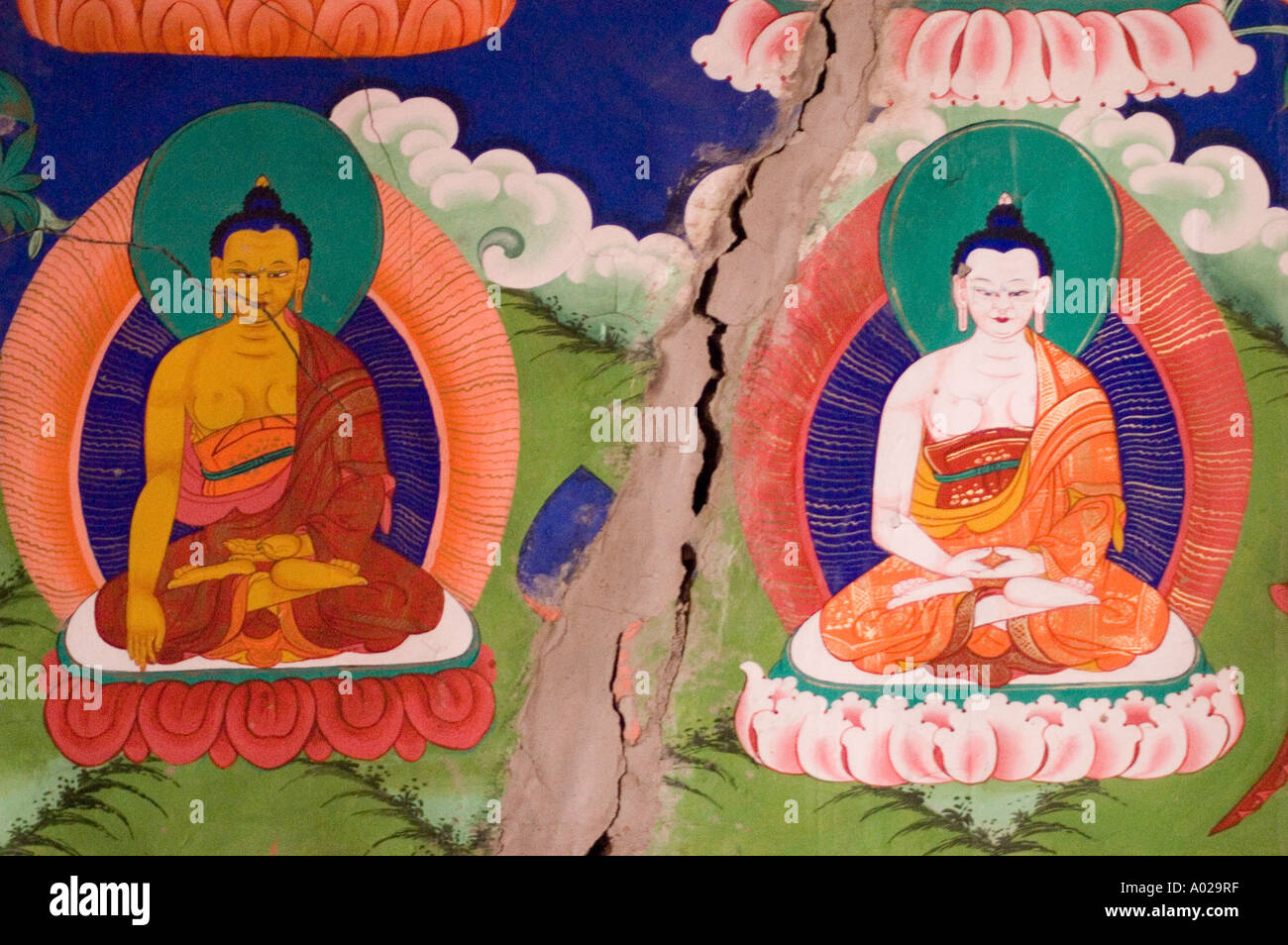 Two yellow and white Buddha cracked mural paintings in Karsha monastery ...