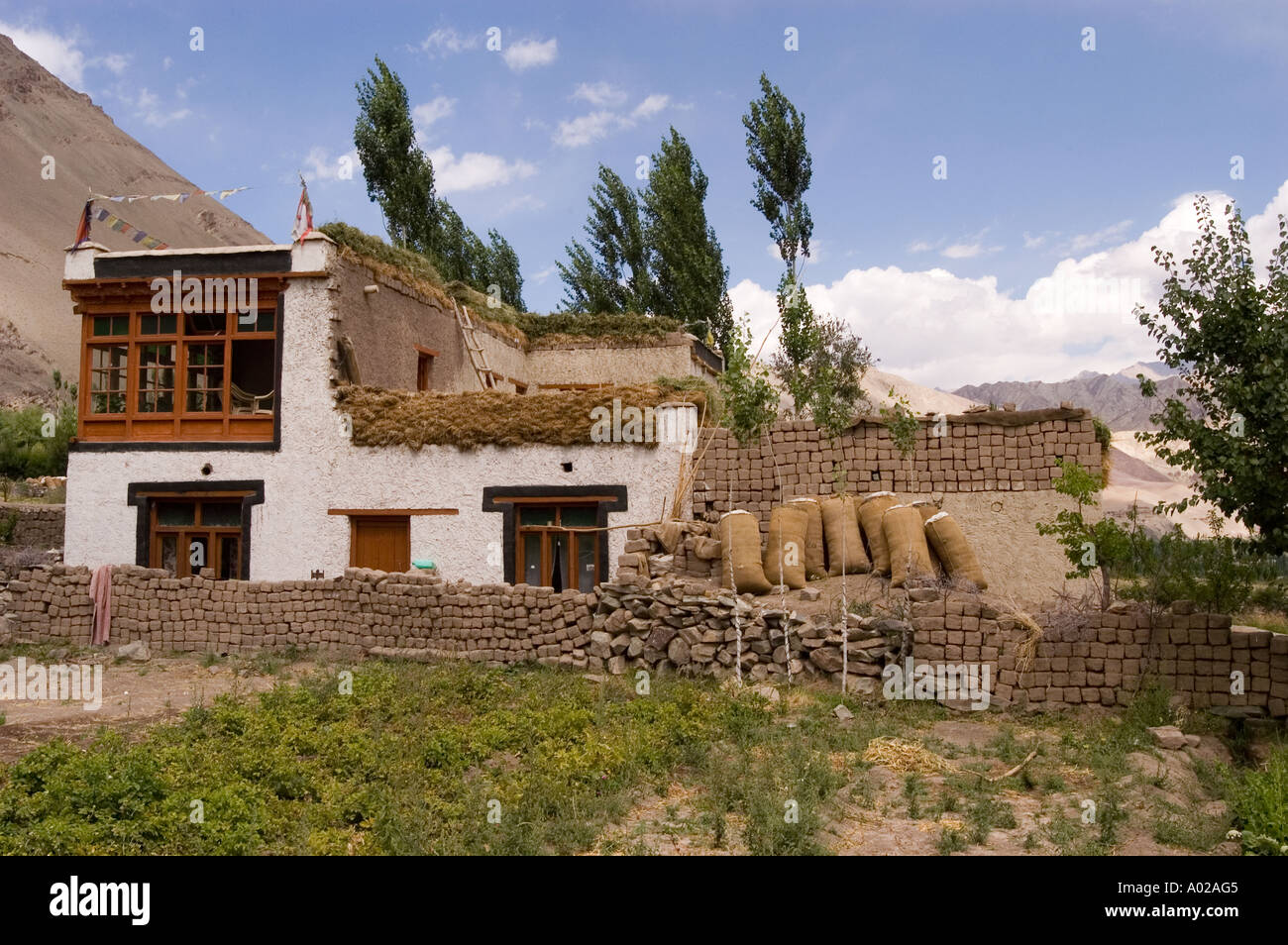 Traditional style Ladakhi house with white facade and wooden windows in ...
