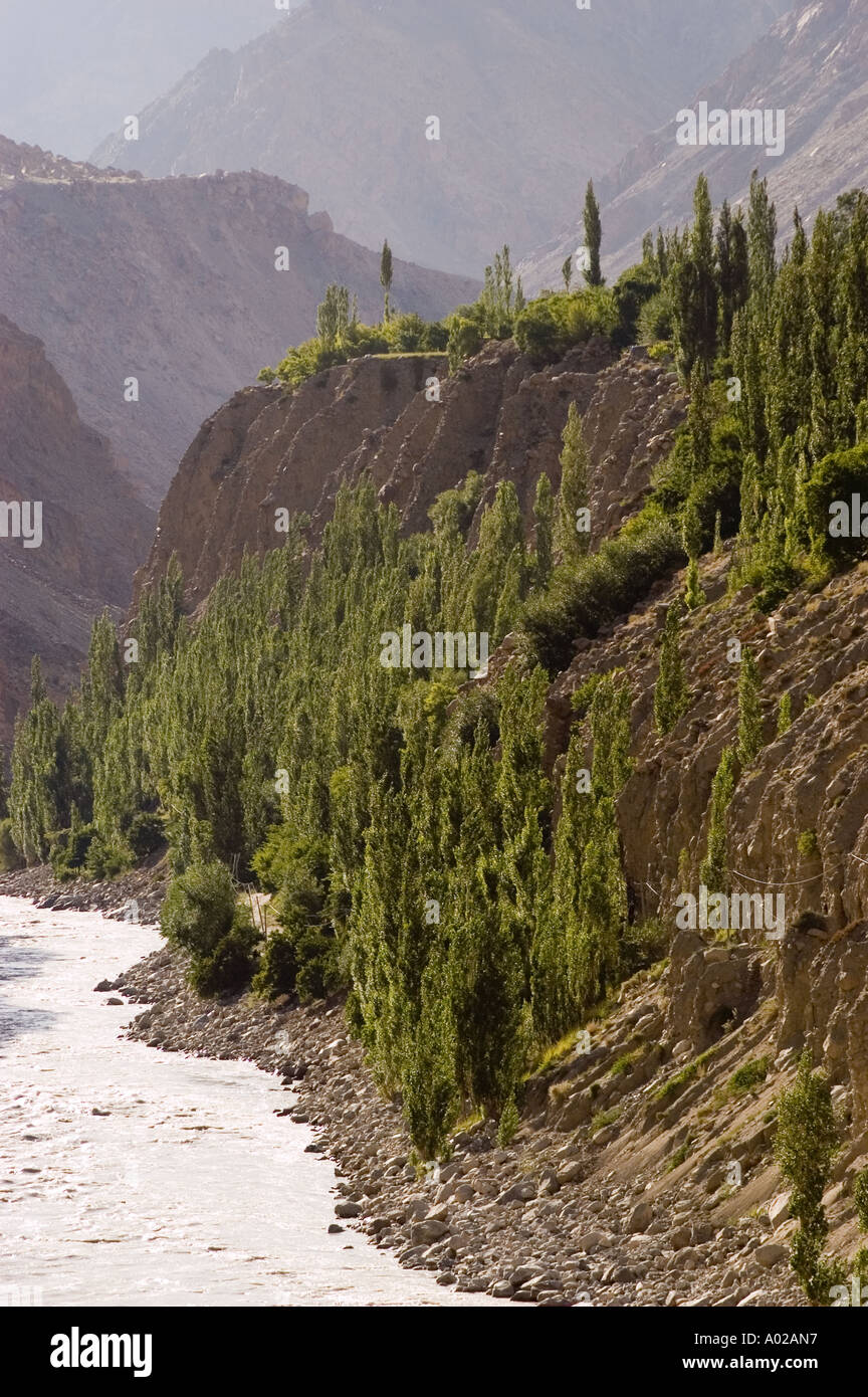White water of Indus river with green poplar trees of Dha Hanu village ...